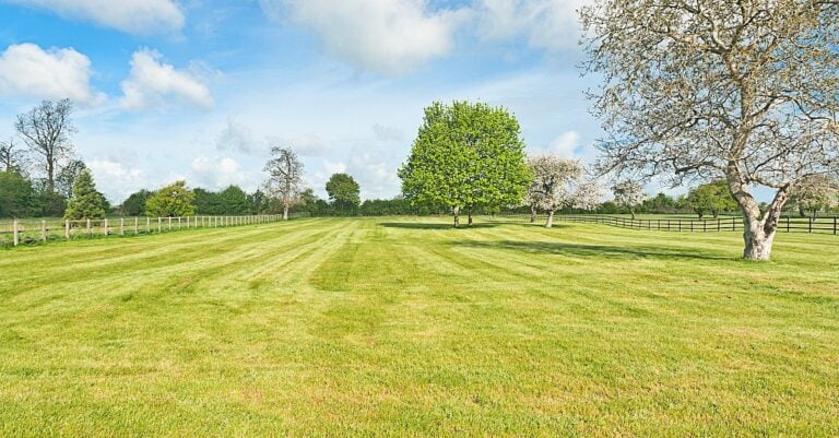 Valorização do terreno: 4 fatores que você deve observar